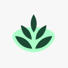 Fibonacci remedies | Simillimum Health and Homeopathy